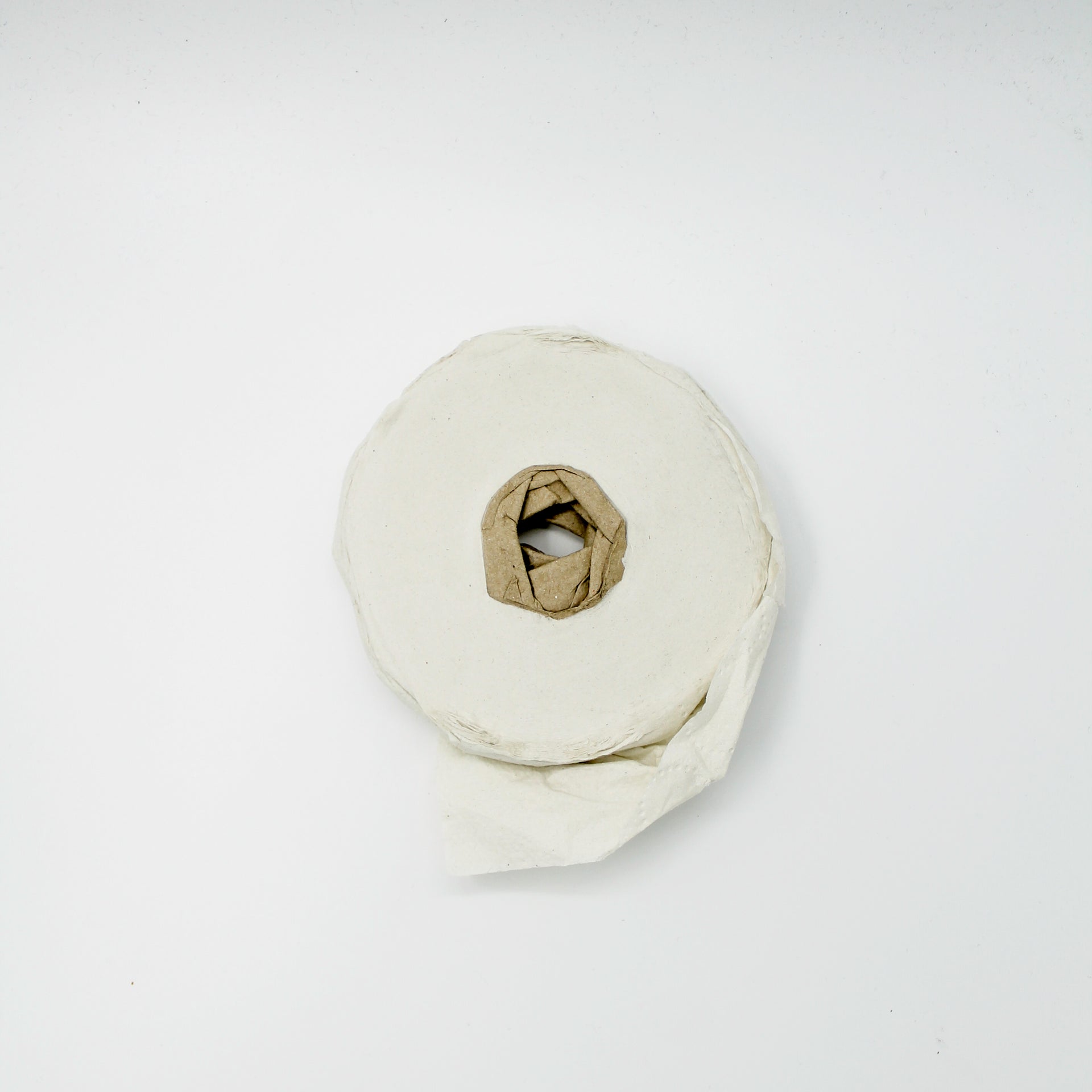 Crushed Toilet Paper